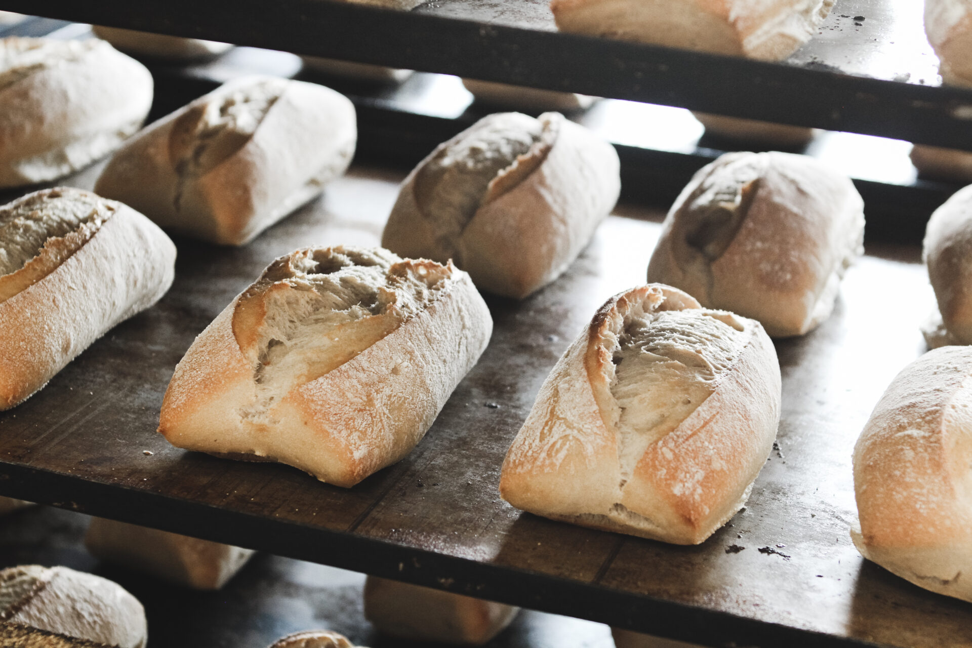 Bakker van Eekeren - Bakker van Eekeren